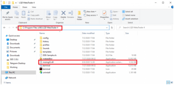 Gold Butterfly Scalper Pro EA - FXprime中文社